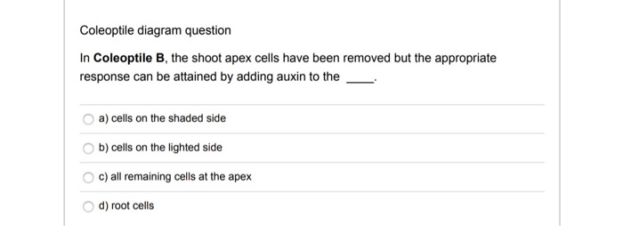 Solved A B C D E F G Coleoptile diagram. Different | Chegg.com