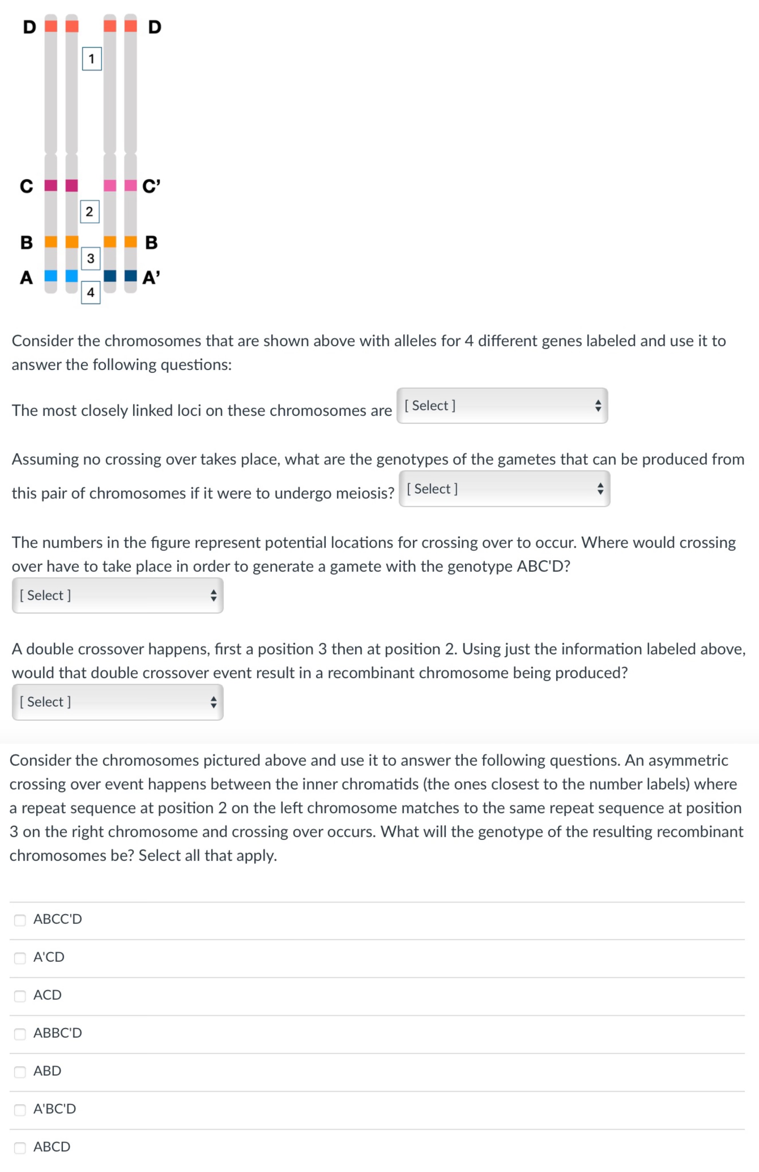 Solved please help! thank you!! | Chegg.com