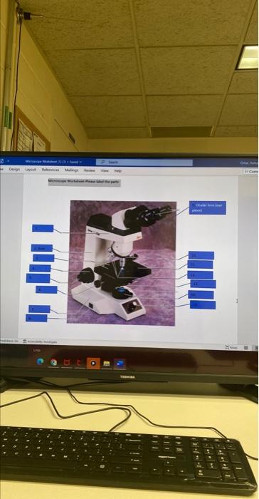 Solved Microscope worksheet please label the parts? | Chegg.com
