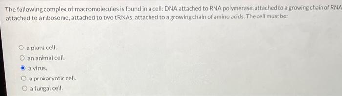 Solved The anticodon of a specific tRNA molecule: binds to a | Chegg.com