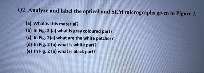 Solved Q2 Analyze And Label The Optical And Sem Micrographs