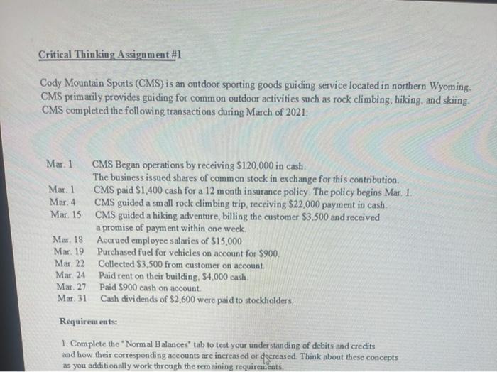 Solved Critical Thinking Assignment #1 Cody Mountain Sports | Chegg.com