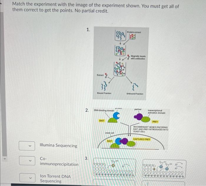Solved Match the experiment with the image of the experiment | Chegg.com