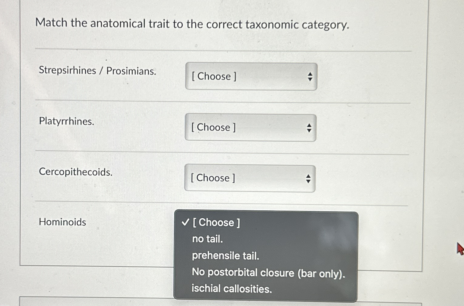 Solved Match the anatomical trait to the correct taxonomic | Chegg.com