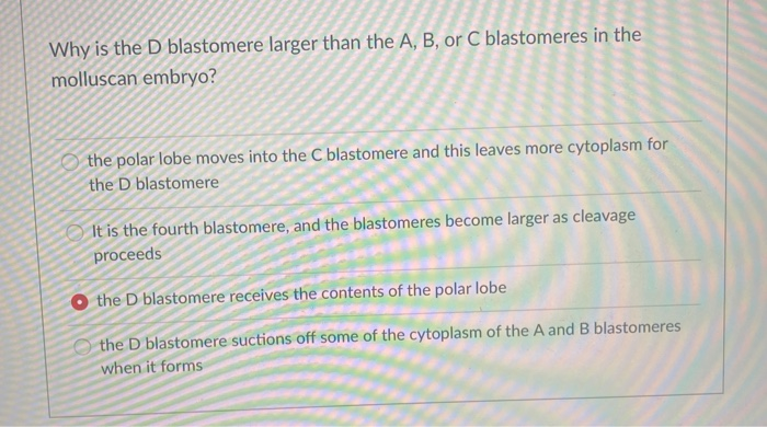 Solved Why is the D blastomere larger than the A, B, or C | Chegg.com