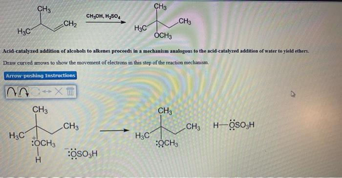 Solved CH3 CH3 CH2OH, H2SO4 CH3 CH2 H3C H2C OCH3 Acid | Chegg.com