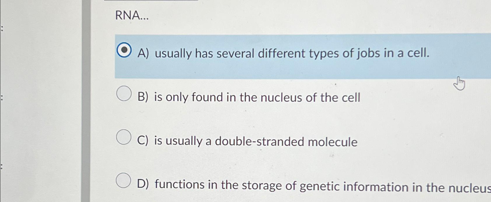 Solved RNA...A) ﻿usually has several different types of jobs | Chegg.com