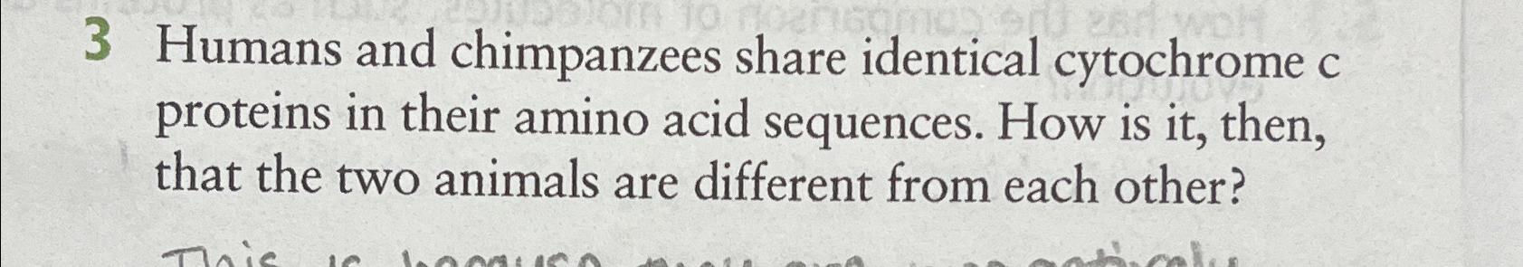 Solved 3 ﻿Humans and chimpanzees share identical cytochrome | Chegg.com