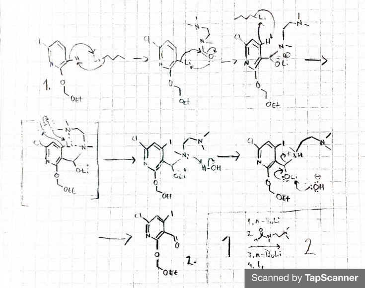 Solved Does this rxn mechanism look any reasonable? The | Chegg.com
