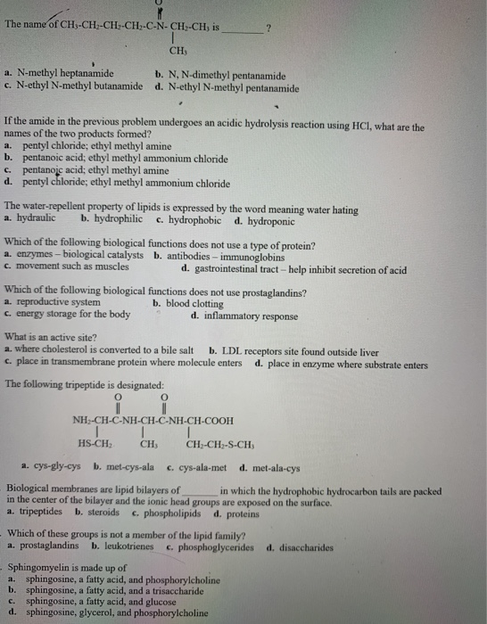 Solved The name of CH-CH-CH2-CH-C-N-CH-CH, is CH a. N-methyl | Chegg.com