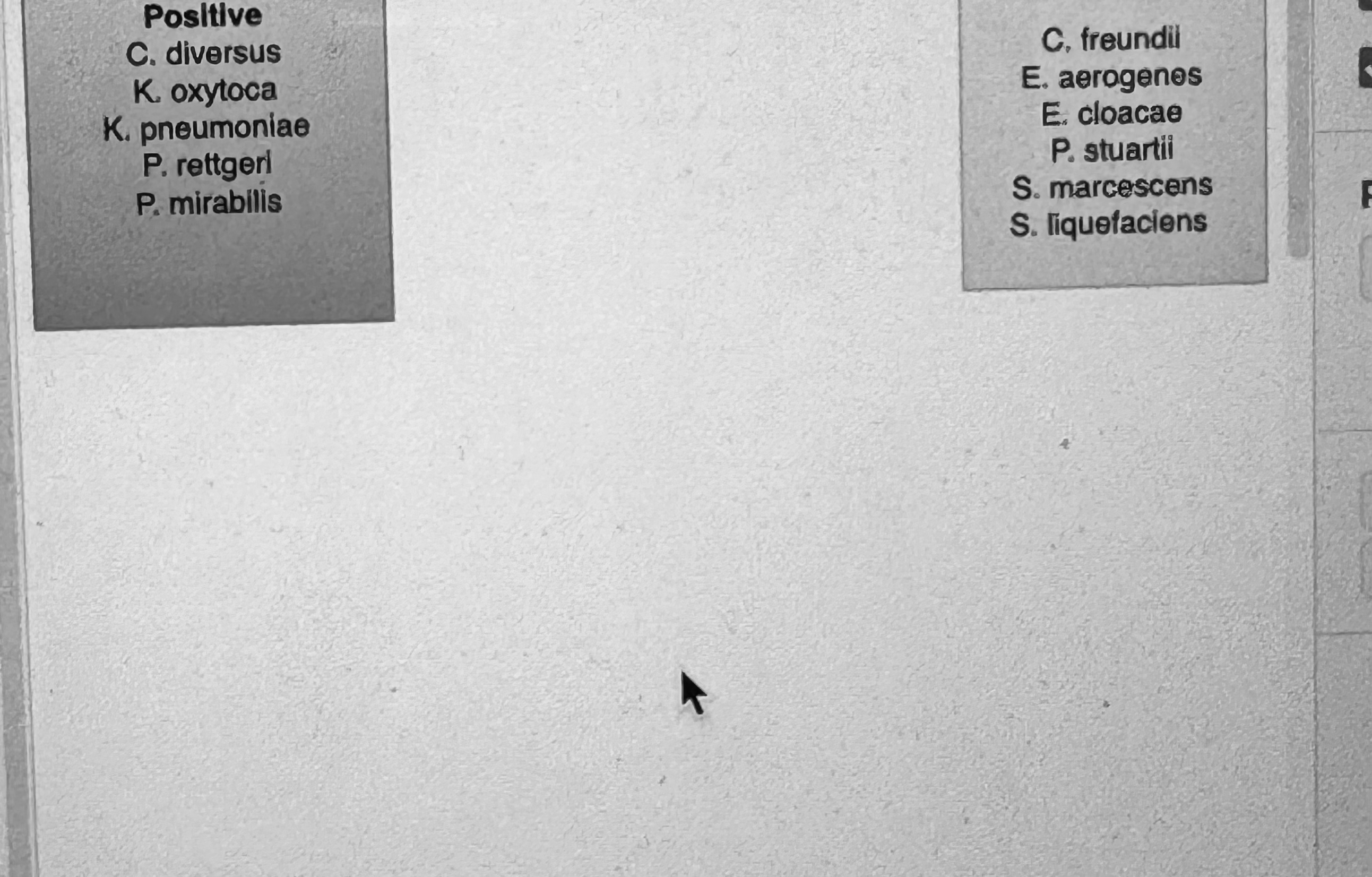 Solved After Urea Hydrolysis test what tests should be done | Chegg.com