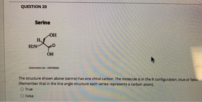 Solved QUESTION 20 Serine ОН H H2N OH The structure shown | Chegg.com