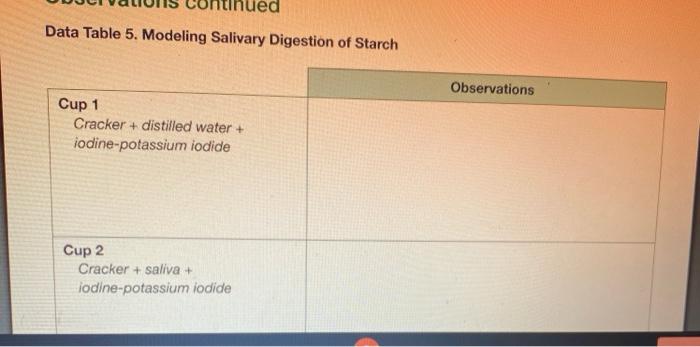 Data Table 4. Modeling Gastric Digestion of Protein | Chegg.com