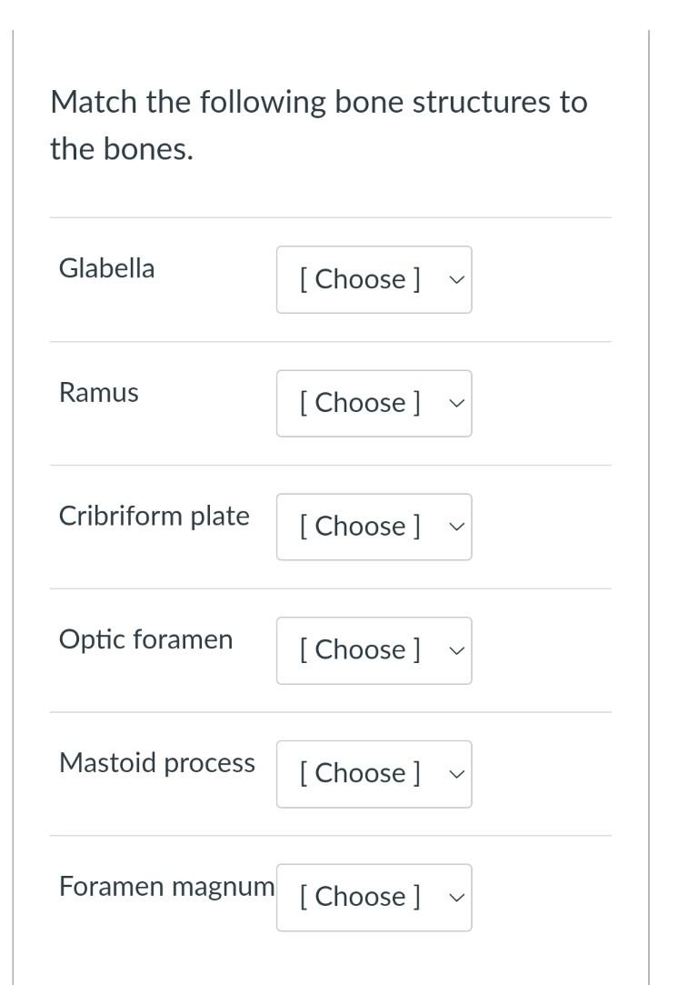 Solved Match the following bone structures to the bones. | Chegg.com