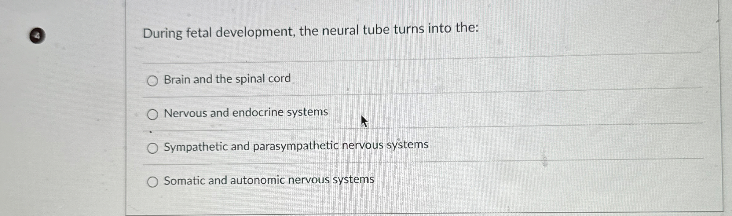Solved During fetal development, the neural tube turns into | Chegg.com