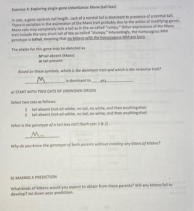 Solved Exercise 4: Exploring single-gene inheritance: Manx | Chegg.com