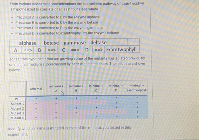 Solved From various biochemical considerations the | Chegg.com