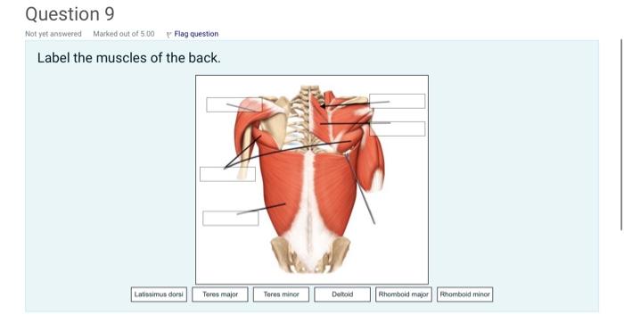 Label the special movement on the diagram. Question | Chegg.com