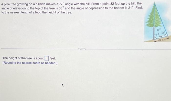 Solved A pine tree growing on a hillside makes a 77∘ angle | Chegg.com