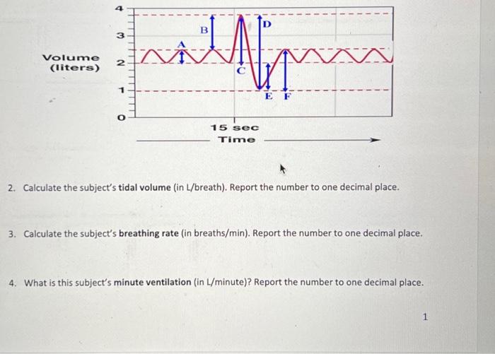 Solved 2. Calculate the subject's tidal volume (in | Chegg.com