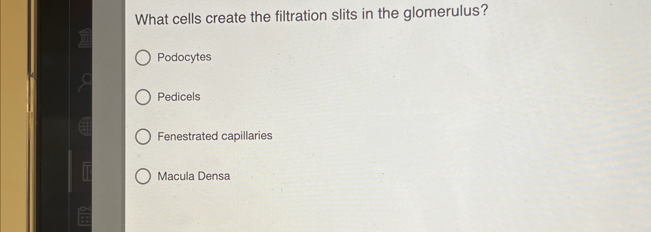 Solved What cells create the filtration slits in the | Chegg.com