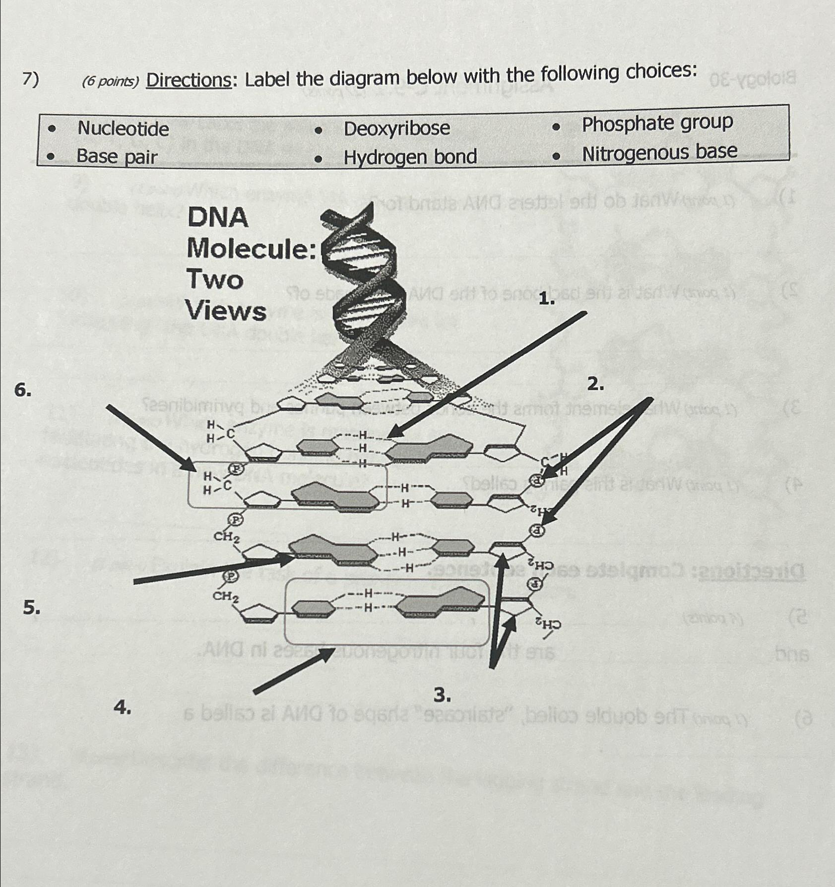 Solved (6 ﻿points) ﻿Directions: Label the diagram below with | Chegg.com