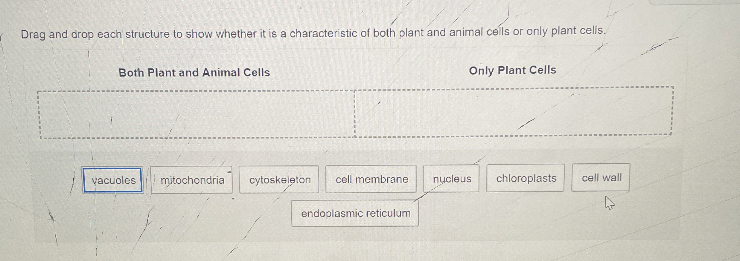 Solved Drag and drop each structure to show whether it is a | Chegg.com