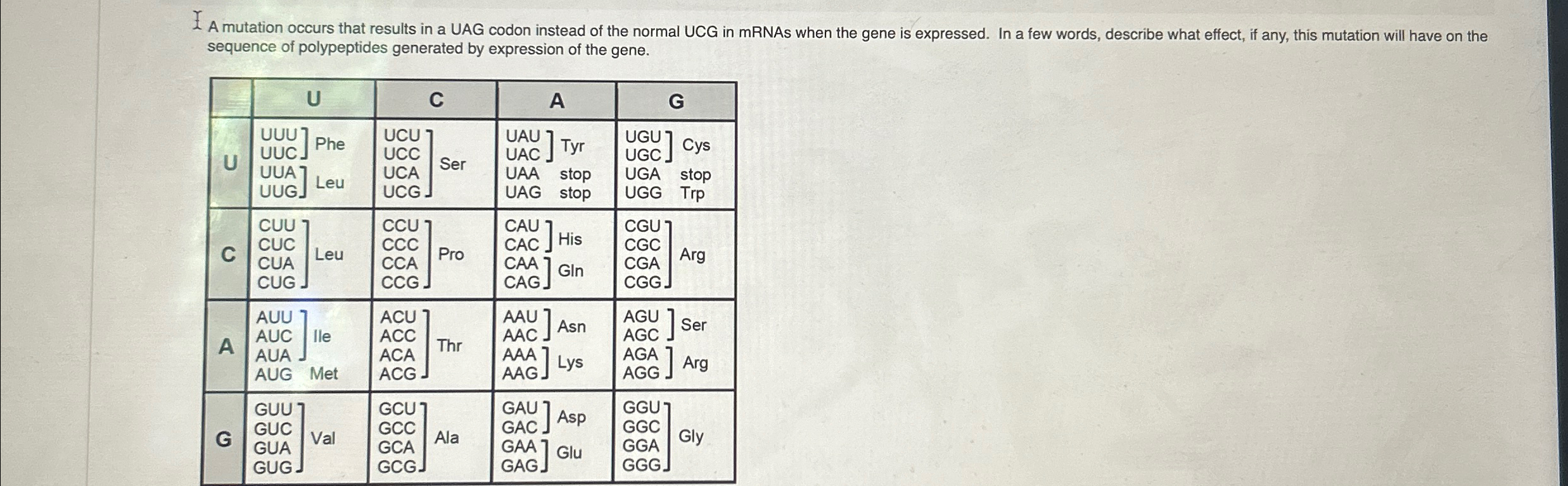 Solved A mutation occurs that results in a UAG codon instead | Chegg.com