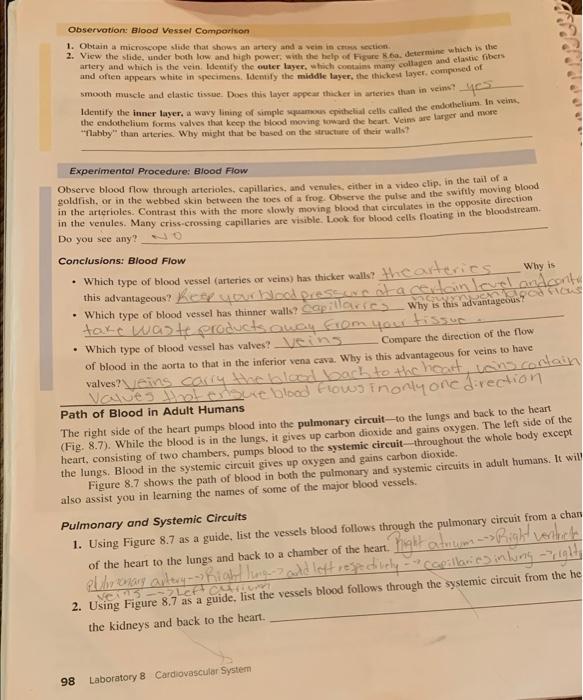 Solved Observation: Blood Vessel Comporison 1. Obtain a | Chegg.com