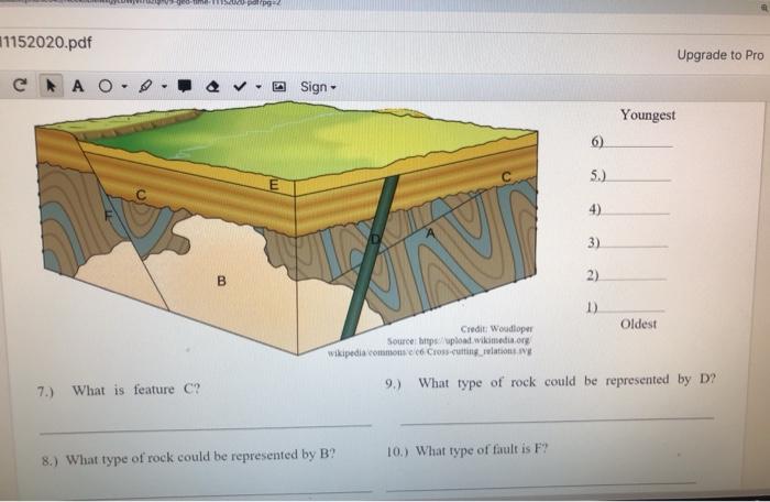 Solved polis 1152020.pdf Upgrade to Pro CAO Sign- Youngest | Chegg.com