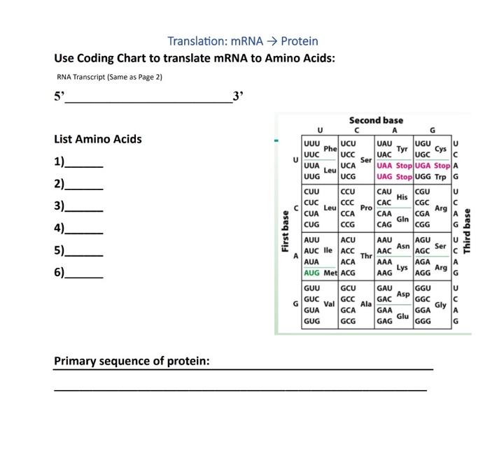 Solved RNA Processing: RNA → mRNA Three Steps Of mRNA | Chegg.com