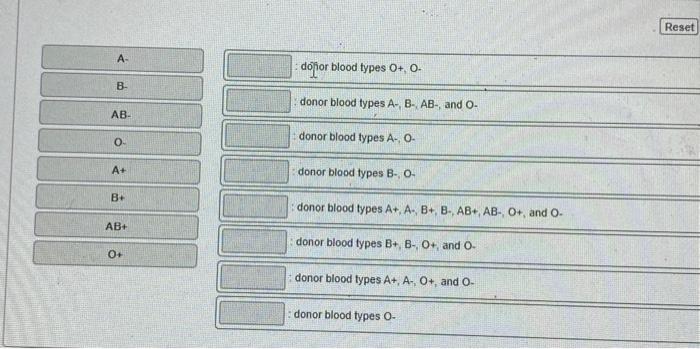 Part E-Blood Compatibility Transfusion reactions | Chegg.com