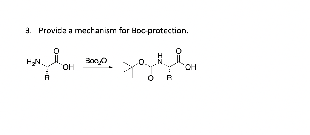 Solved Provide a mechanism for Boc-protection. | Chegg.com