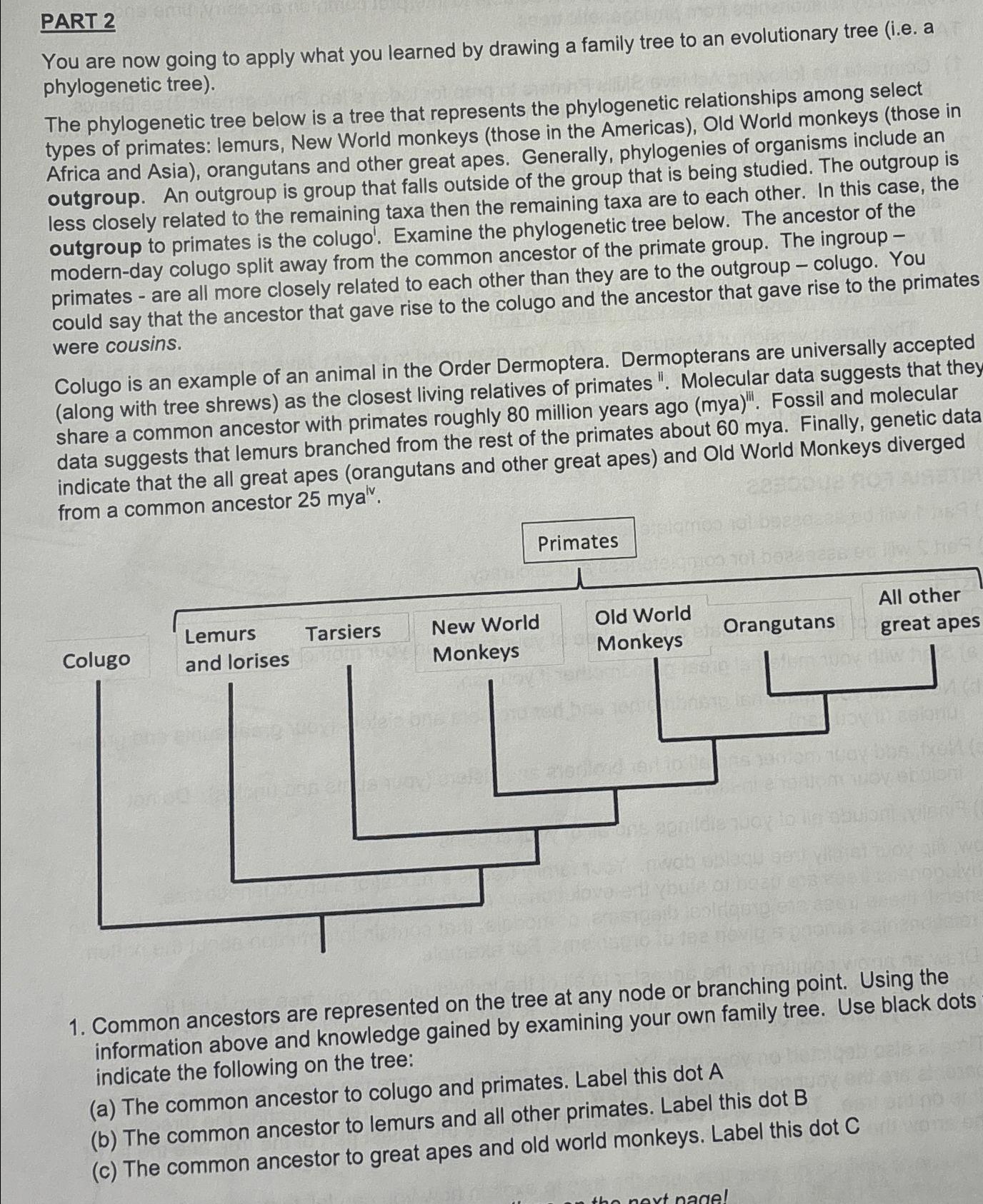 Solved PART 2You are now going to apply what you learned by | Chegg.com