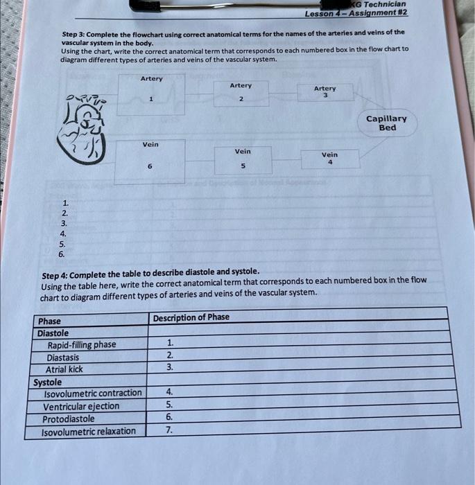 Step 3: Complete the flowchart using correct | Chegg.com