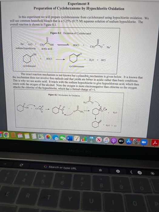 Experiment 8 Preparation of Cyclohexanone by | Chegg.com