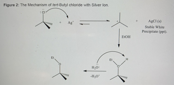 Solved 5. From the mechanism of the silver ion test for | Chegg.com