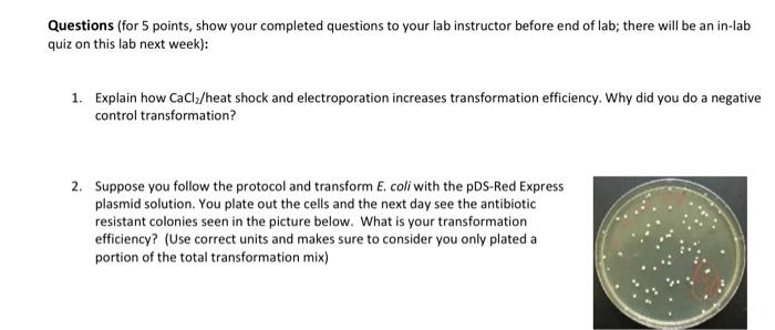 Solved Questions (for 5 points, show your completed | Chegg.com