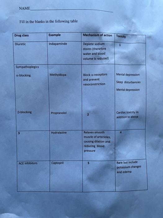 Solved 3 Hydralazine Relaxes smooth muscle of arterioles, | Chegg.com