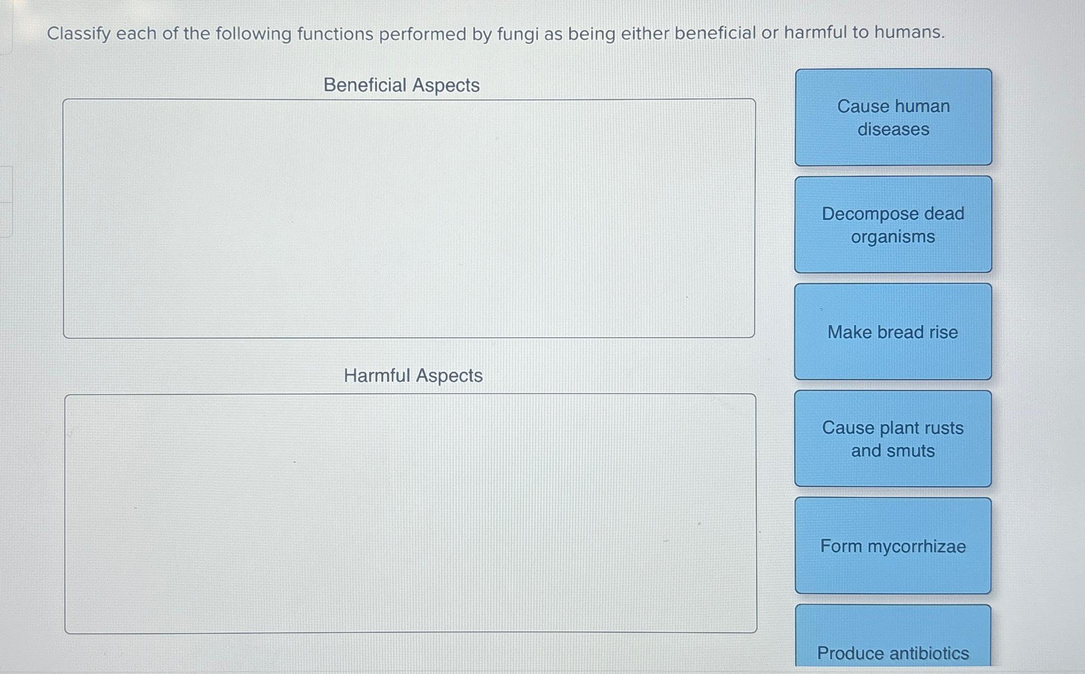 Solved Classify each of the following functions performed by | Chegg.com