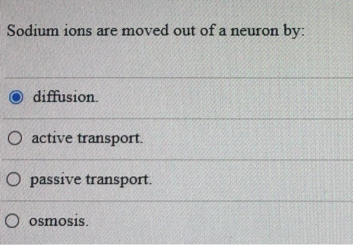 Solved Sodium ions are moved out of a neuron by: o | Chegg.com