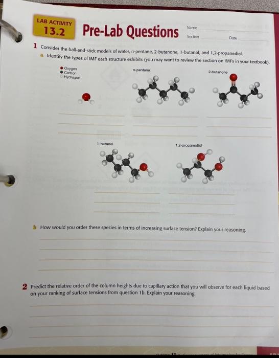 Solved LAB ACTIVITY 13.2 Name Section Date Pre-Lab Questions | Chegg.com
