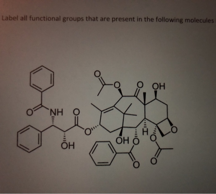 Solved Label all functional groups that are present in the | Chegg.com