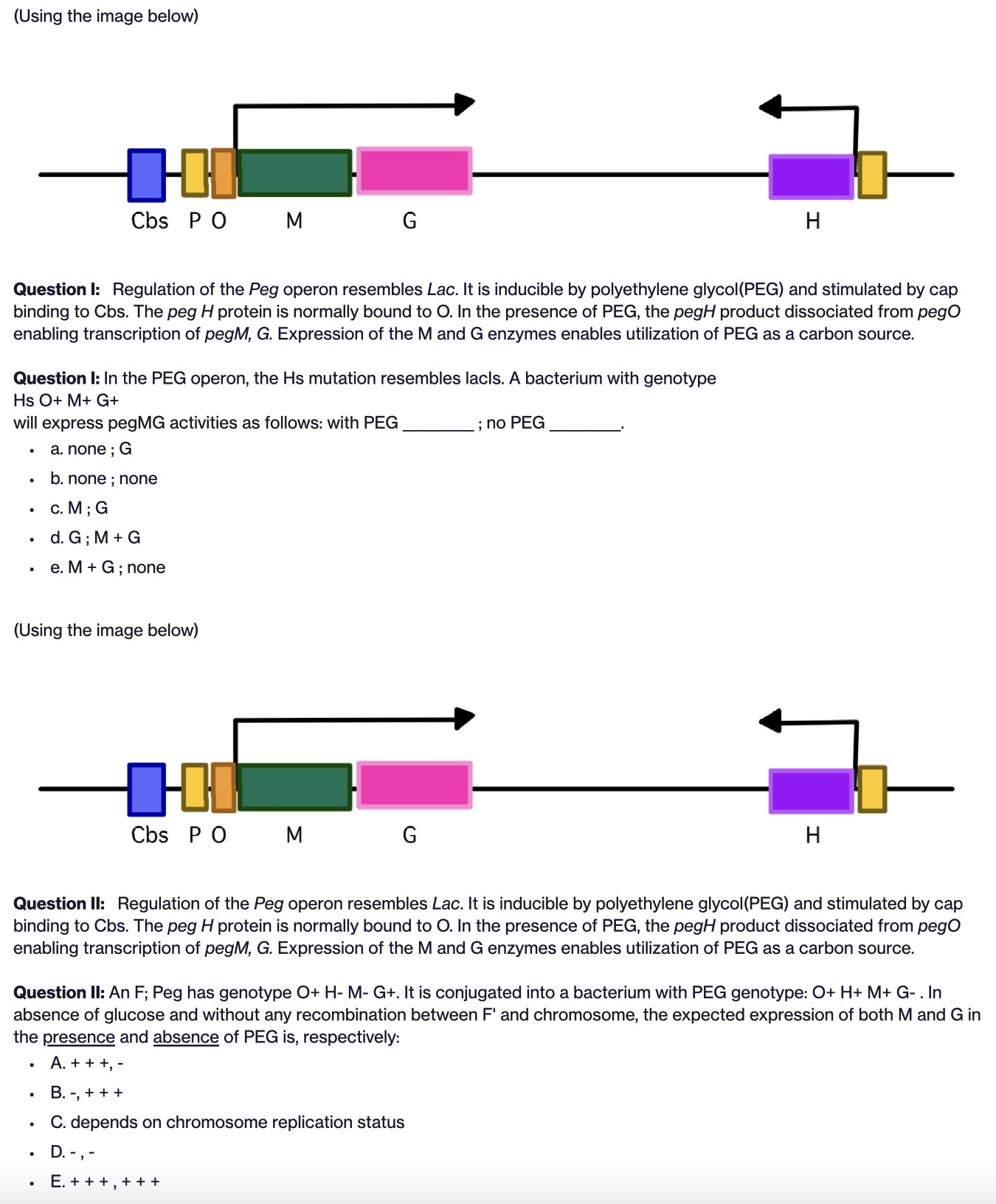 Solved (Genetics) ﻿Regulation of the Peg operon resembles | Chegg.com