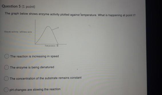 Solved Question 5 (1 point) The graph below shows enzyme | Chegg.com