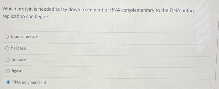 Solved During DNA replication, an incoming nucleotide is | Chegg.com