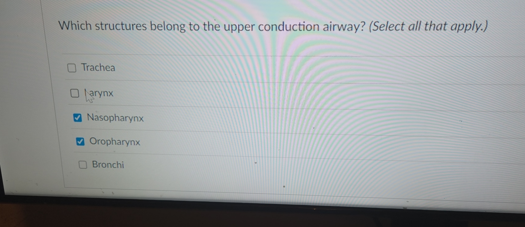 Solved Which structures belong to the upper conduction | Chegg.com