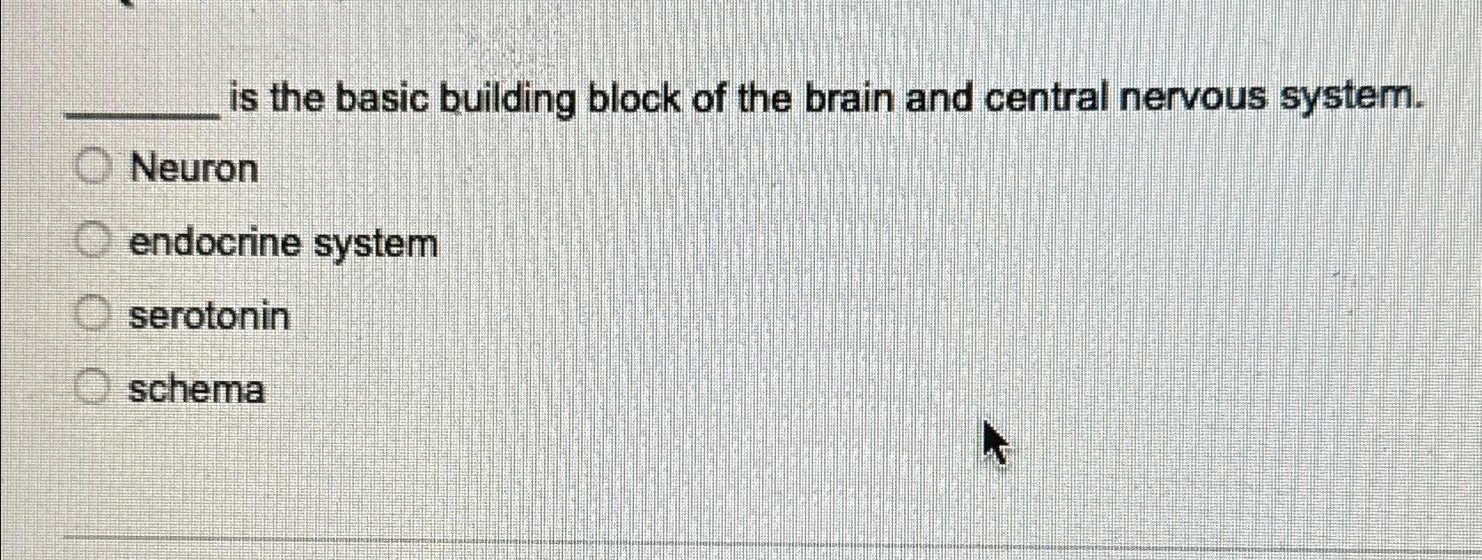 Solved is the basic building block of the brain and central | Chegg.com