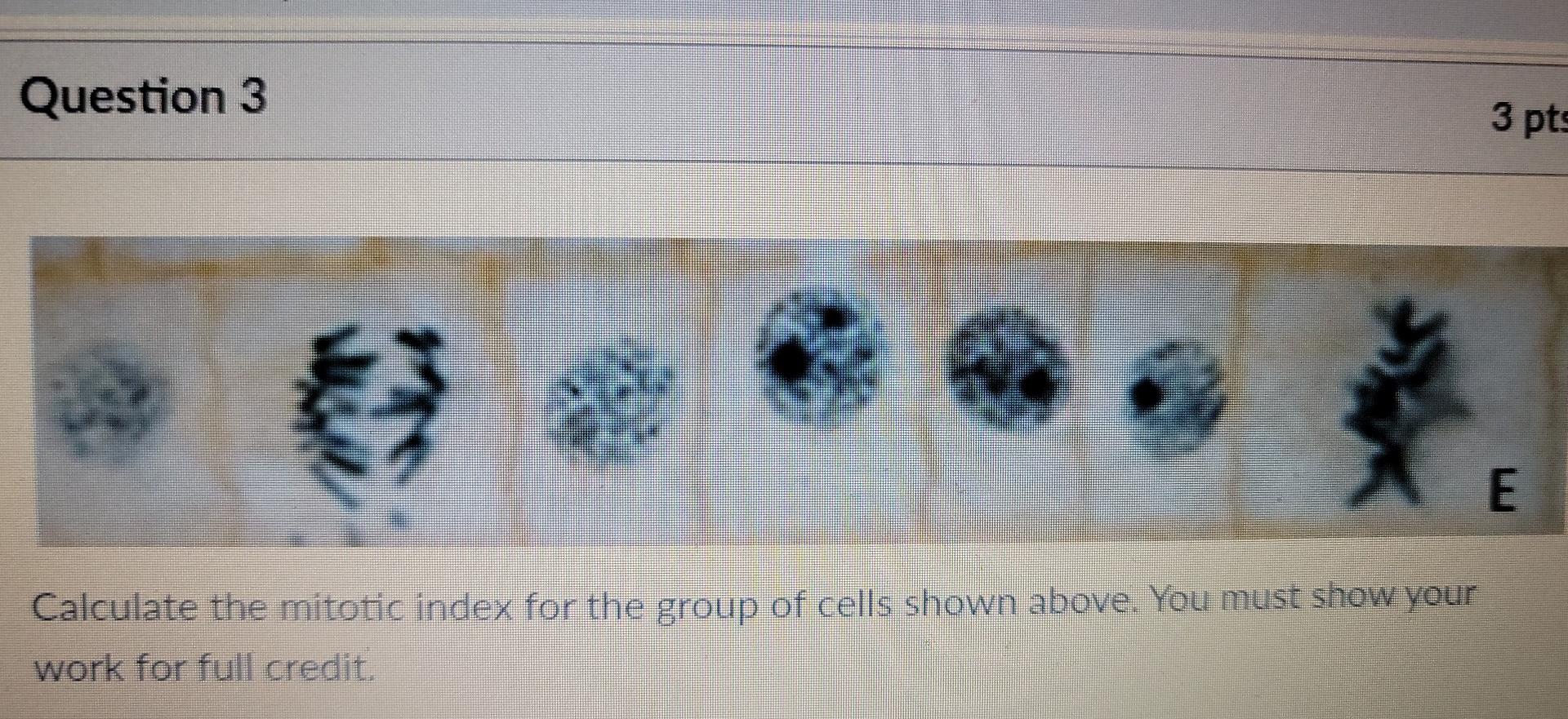 Solved Question 3 3 pts E Calculate the mitotic index for | Chegg.com
