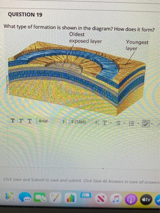 Solved QUESTION 19 What type of formation is shown in the | Chegg.com